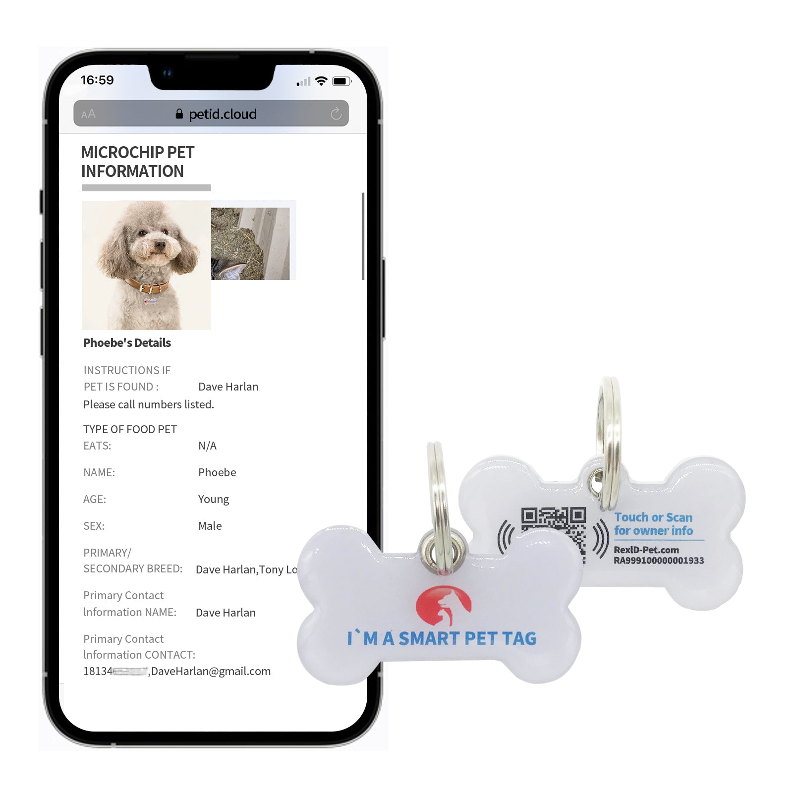 RexID Dog Tag QR Code Pet ID Tags with Pet Online Profile and Owner Co ...